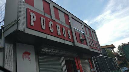 Puchos ️