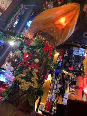 The Vibe Bar Wild One ️